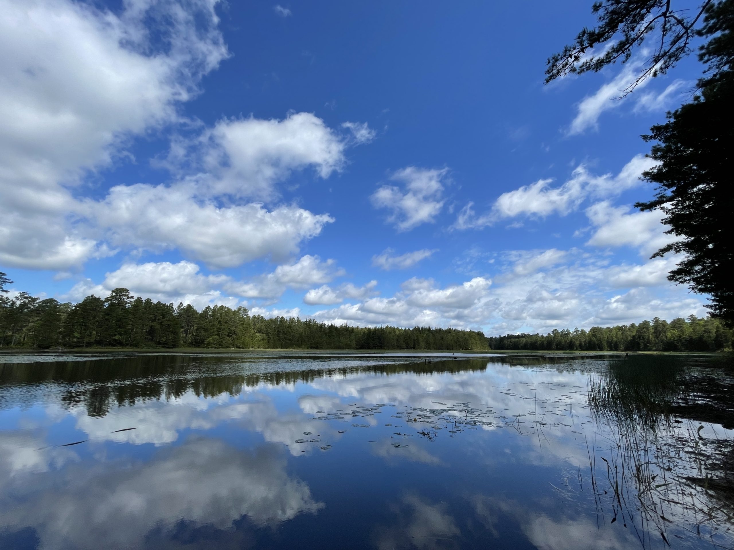 Summer 2022, summarized in photos - Jaclyn Paul / Lena George