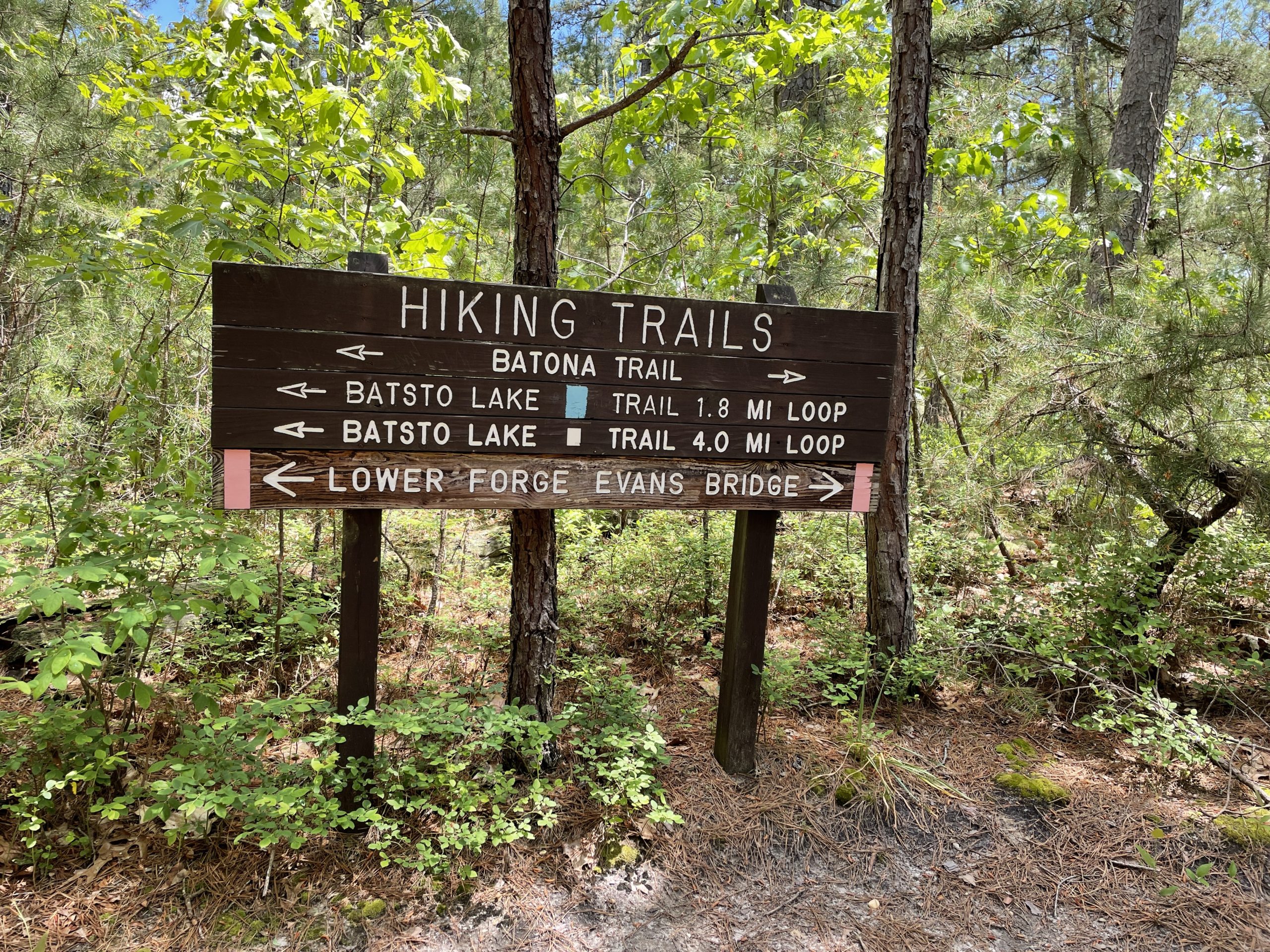 Summer 2022, summarized in photos - Jaclyn Paul / Lena George