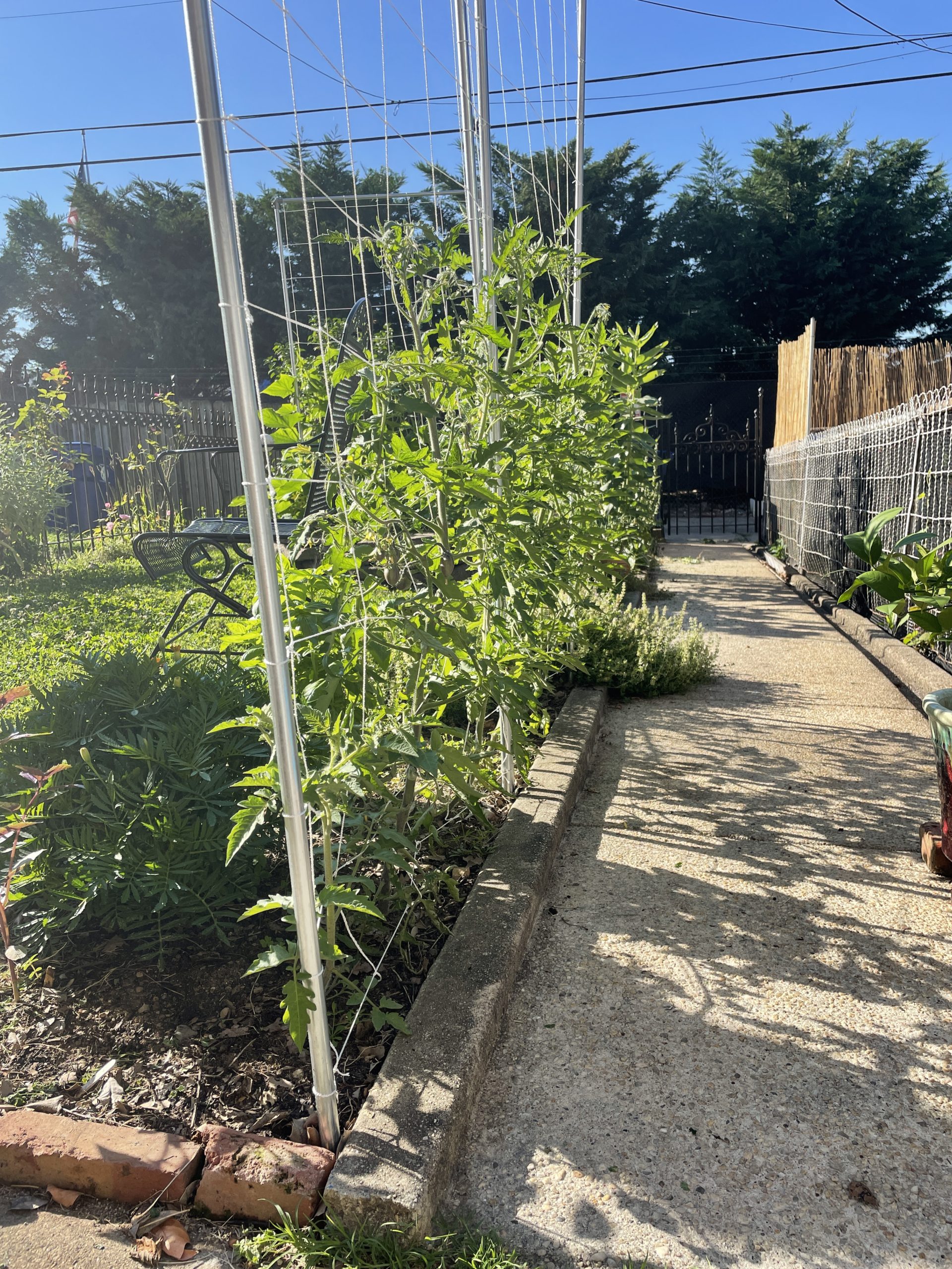 Summer 2022, summarized in photos - Jaclyn Paul / Lena George