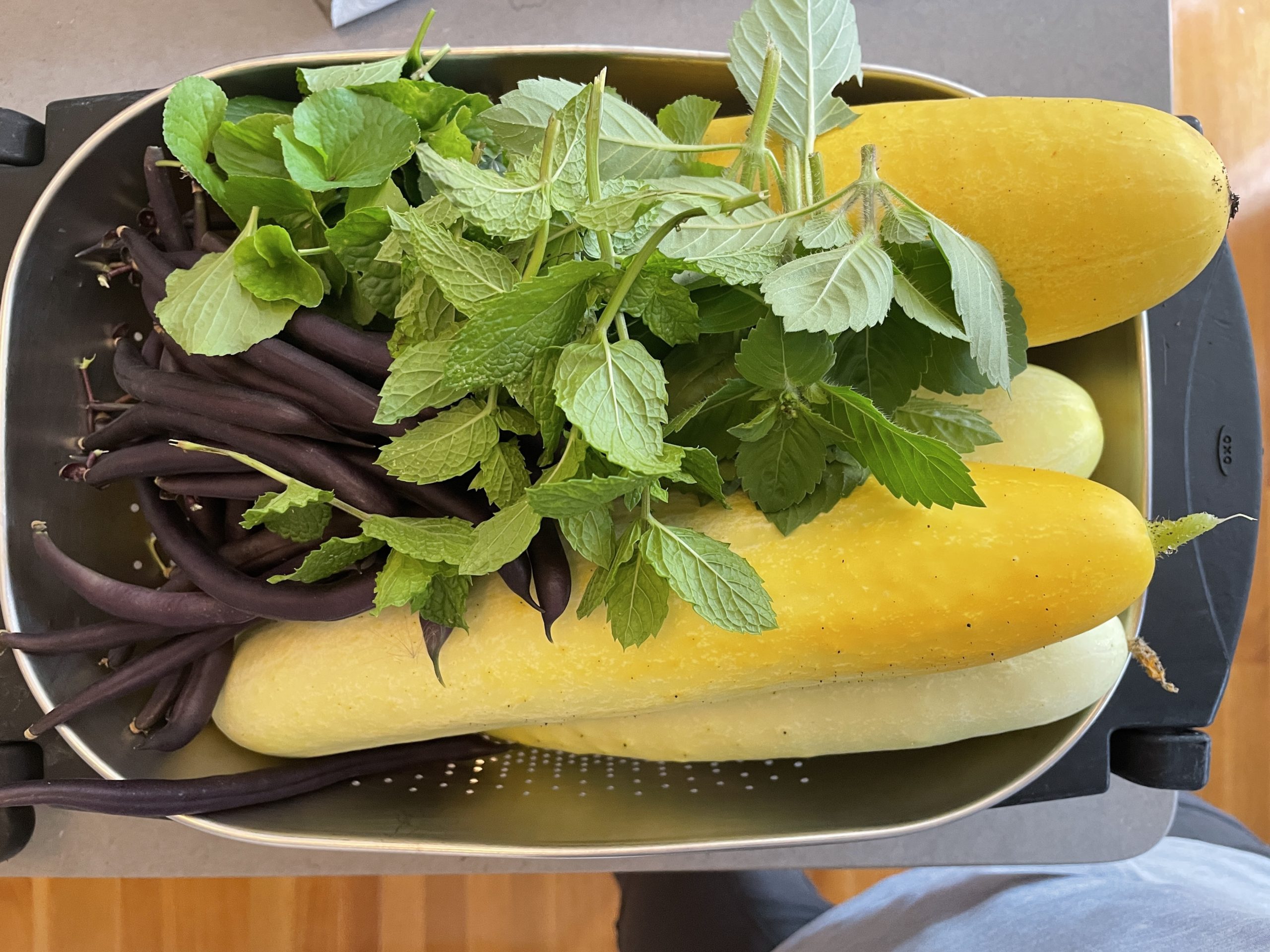 Summer 2022, summarized in photos - Jaclyn Paul / Lena George