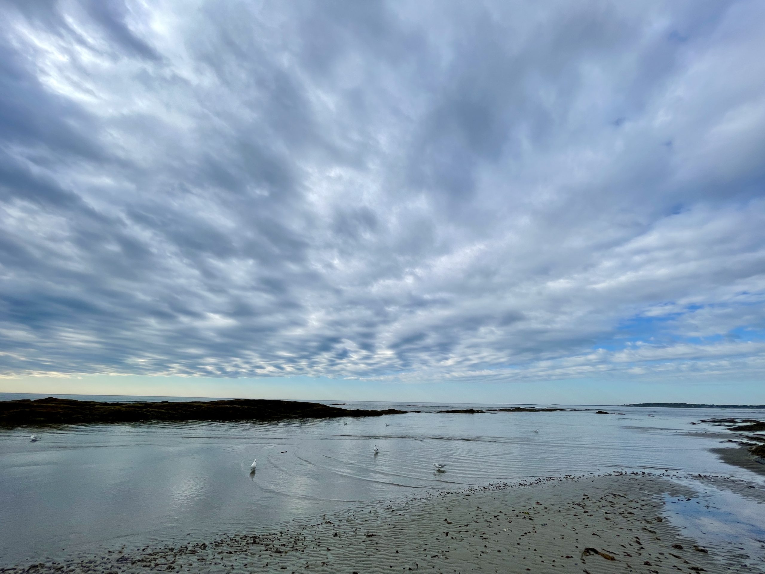 Summer 2022, summarized in photos - Jaclyn Paul / Lena George